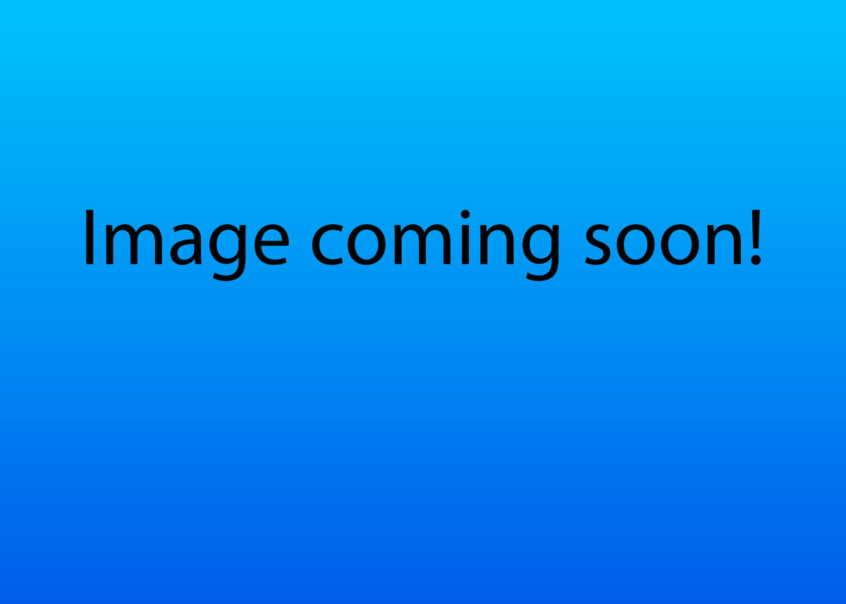 Capri Clips - 2" - Case of 1,000 – CECO Fasteners